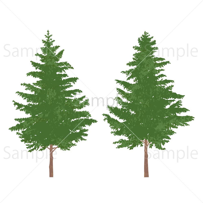 針葉樹の街路樹 – 素材ごよみ